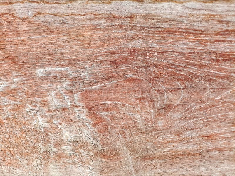 Beautiful Pattern Sculpted in Wood Stock Photo - Image of wooden ...