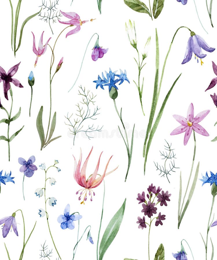Watercolor Wild Flowers Pattern Stock Illustration - Illustration of ...