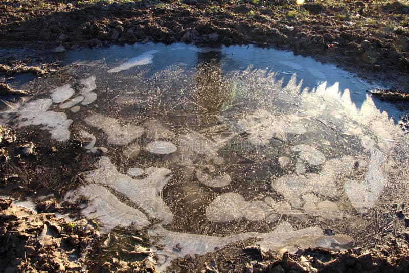 Beautiful Pattern in a Puddle Stock Photo - Image of brown, water: 84593348
