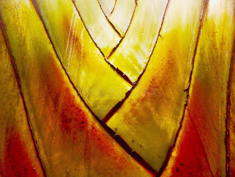 The beautiful pattern stock photo. Image of forming, root - 66558320