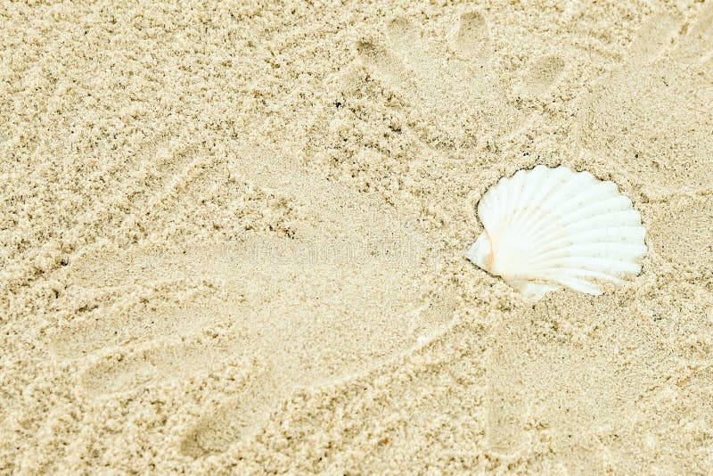 Beautiful Pattern on the Sea Sand on Nature Background Stock Image ...