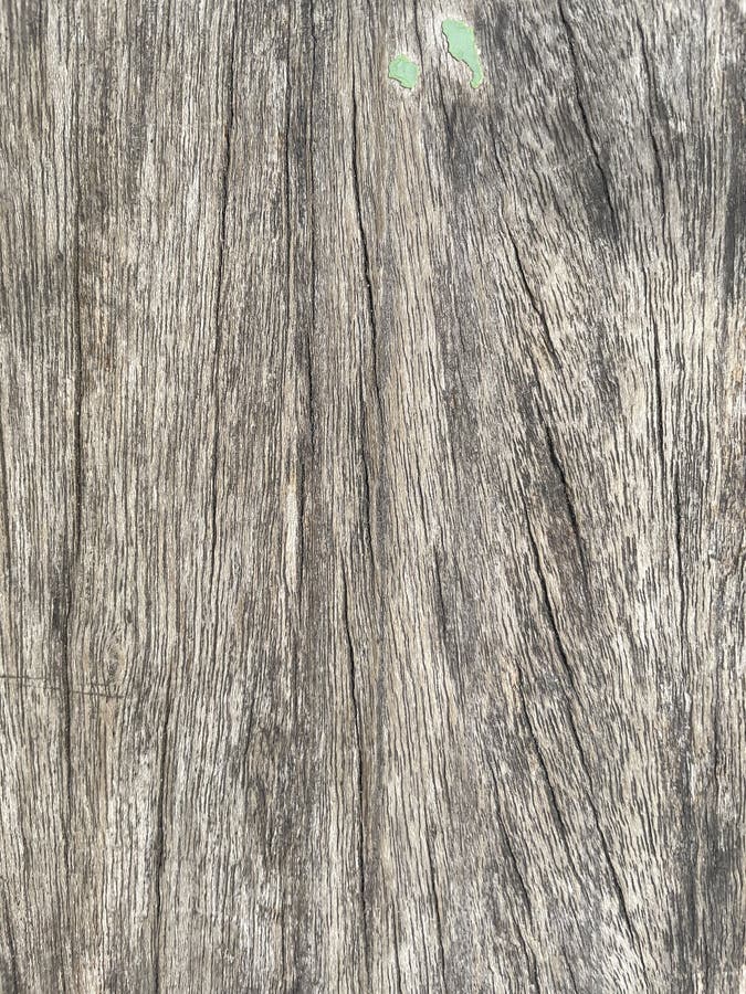 Beautiful Patterned Old Grey Wood Texture Stock Image - Image of ...