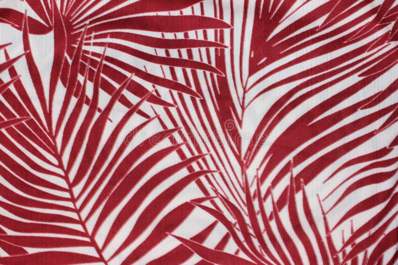 Beautiful Patterns in All Design Stock Illustration - Illustration of ...