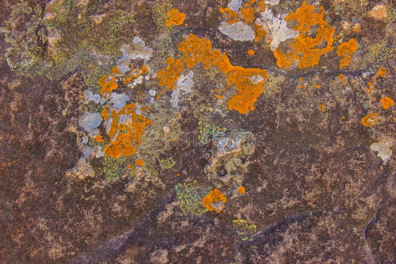 Beautiful Patterns and Colors on the Rocks from Natural Corrosion ...