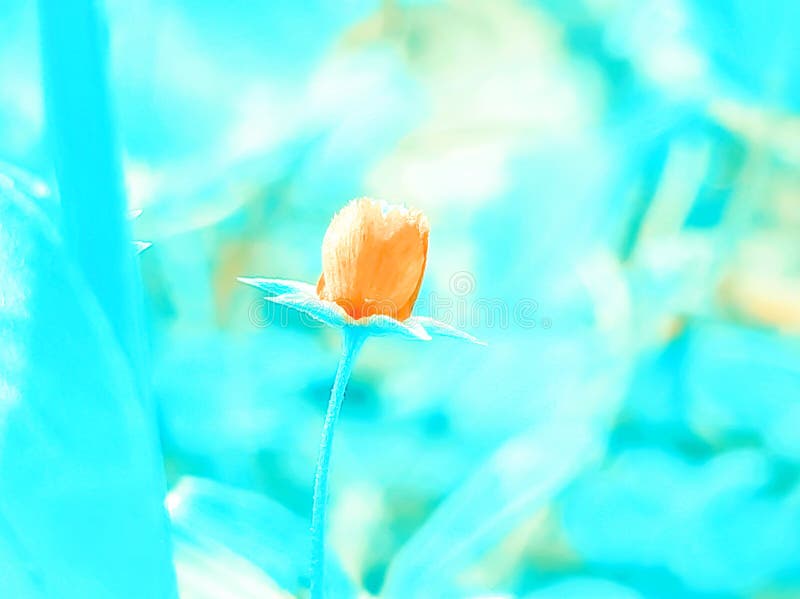 Hd Pc Wallpaper Haga Stock Photos - Free & Royalty-Free Stock Photos ...