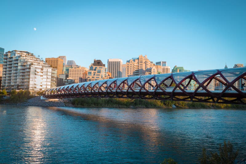 Calgary Peace Bridge editorial stock photo. Image of downtown - 251564303