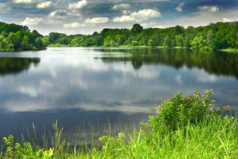 A Beautiful and Peaceful Lake Stock Photo - Image of lake, forest: 10065128