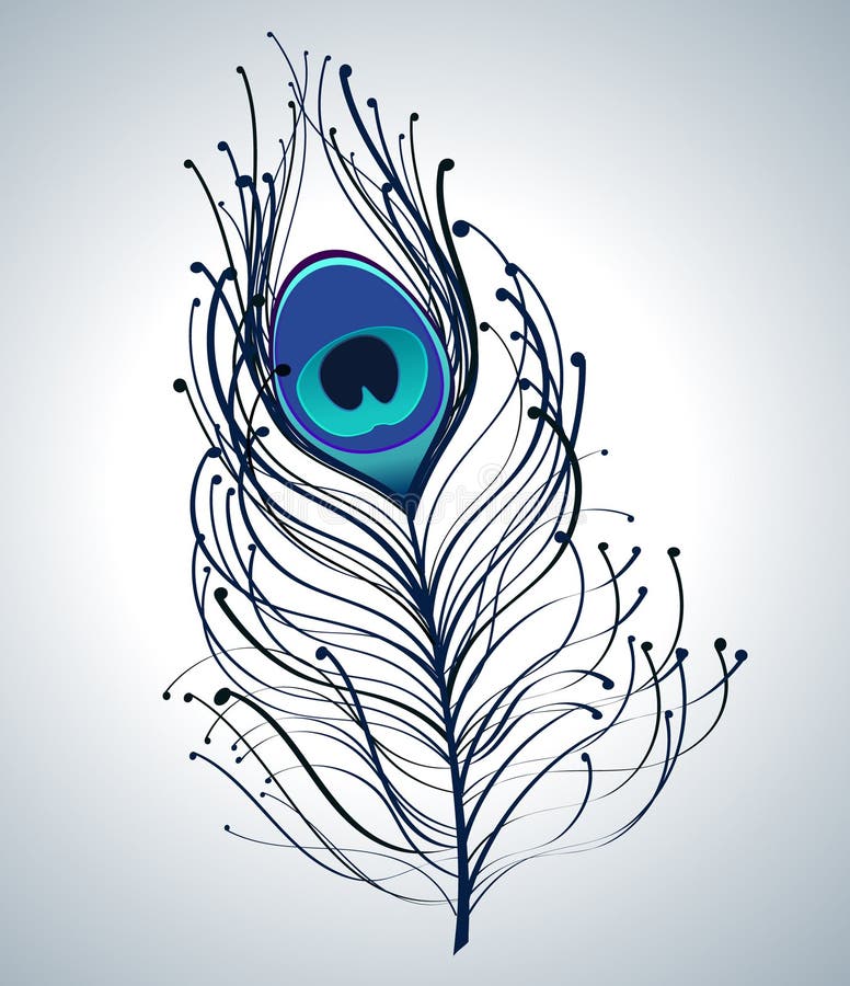 Beautiful peacock feather stock vector. Illustration of bold - 13923787