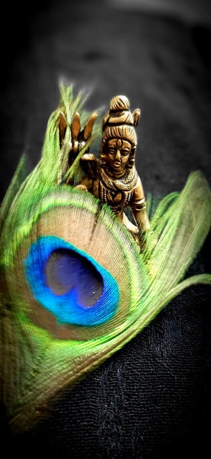 Beautiful Peacock Feather with God Stock Image - Image of wallpaper ...