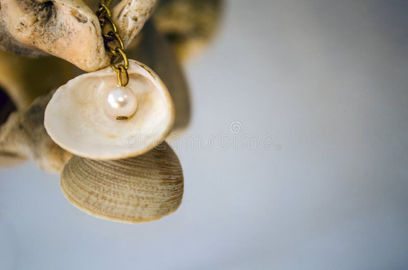 Beautiful pearl on chain stock image. Image of ecology - 42979245