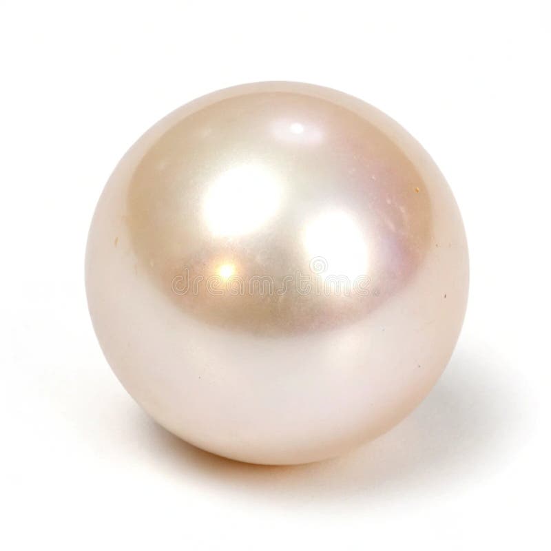 Beautiful Pearl Isolated on Transparent Background Stock Illustration ...