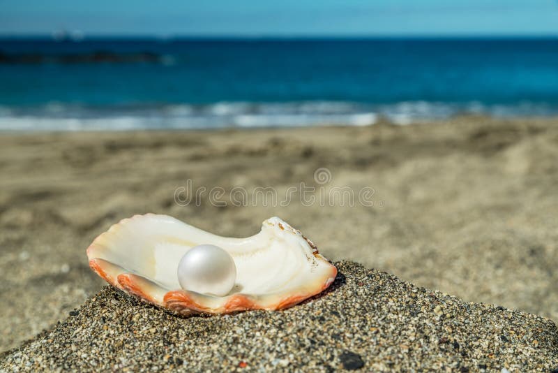 Beautiful Pearl in the Pearl Shell on the Sand Beach. Sea and Blue Sky ...