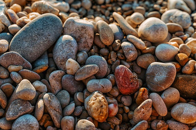 Beautiful Pebbles on the Beach during Sunset. Stock Image - Image of ...