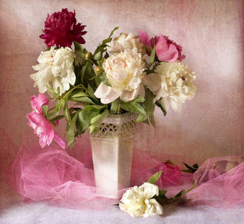 Sweet peas stock image. Image of silver, greetings, texture - 6595603