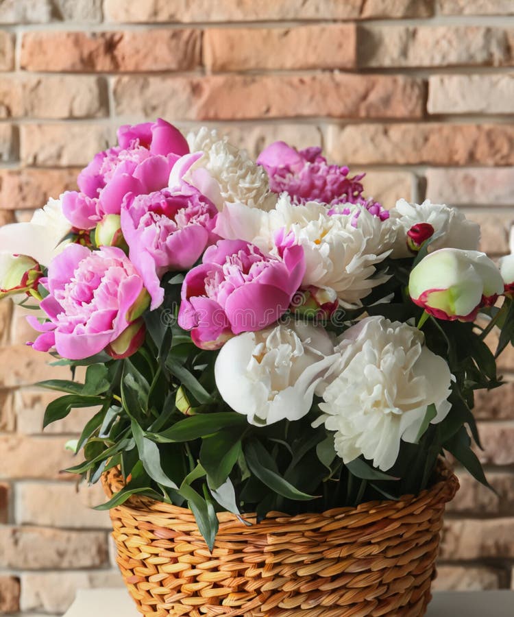 Beautiful Peonies in Wicker Basket on White Table Near Brick Wall Stock ...
