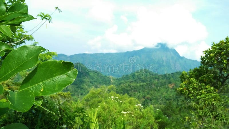 Beautiful Photo of Mount Muria Stock Photo - Image of mount, muria ...