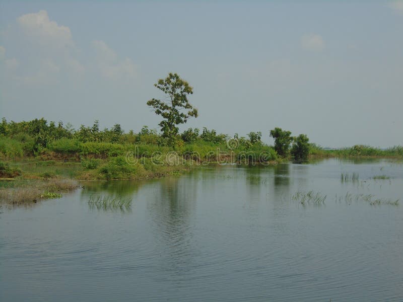 Beautiful Photo of Nature Having Tree Reflection on Water Stock Image ...