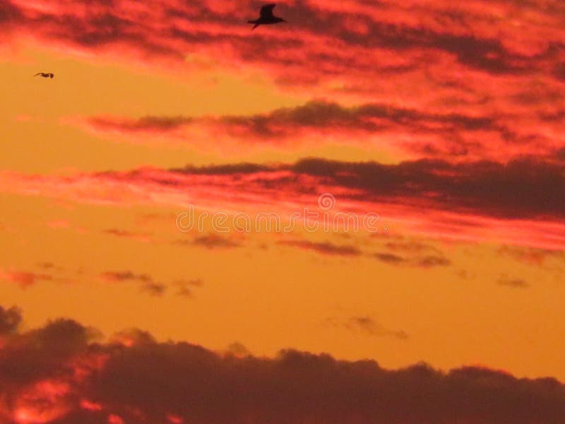 Beautiful Photo of a Sunset with Nice Color in the Clouds Stock Image ...