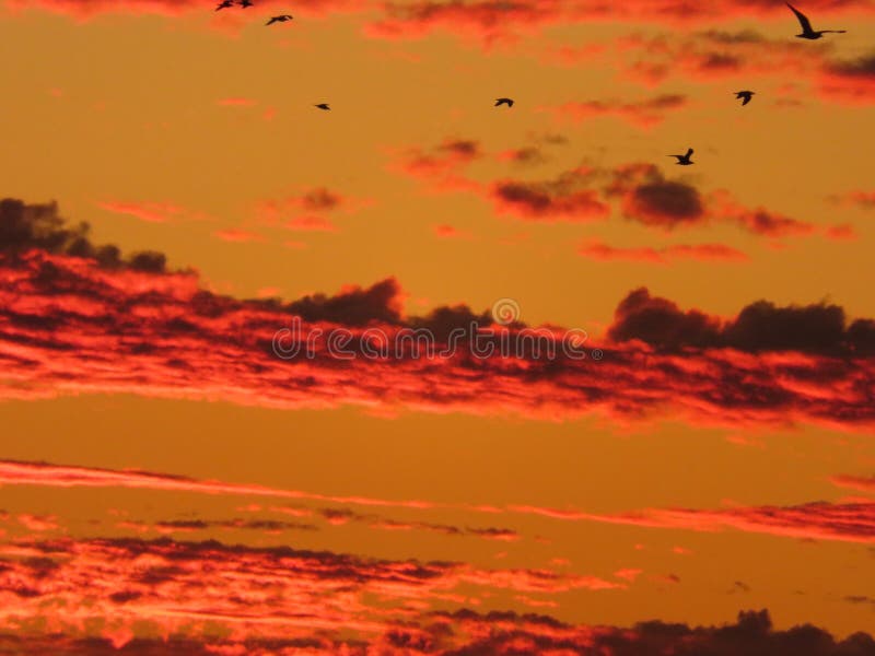 Beautiful Photo of a Sunset with Nice Color in the Clouds Stock Photo ...