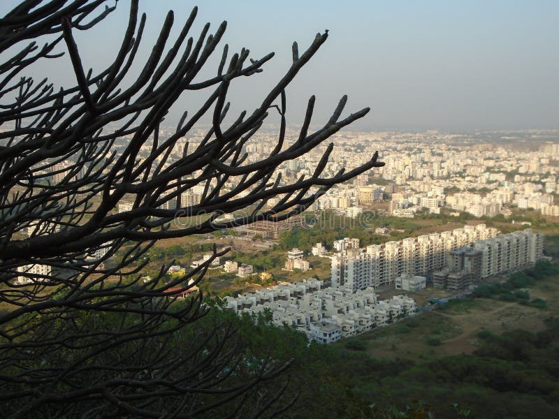 Beautiful Photo Tree and Buildings Stock Image - Image of buildings ...