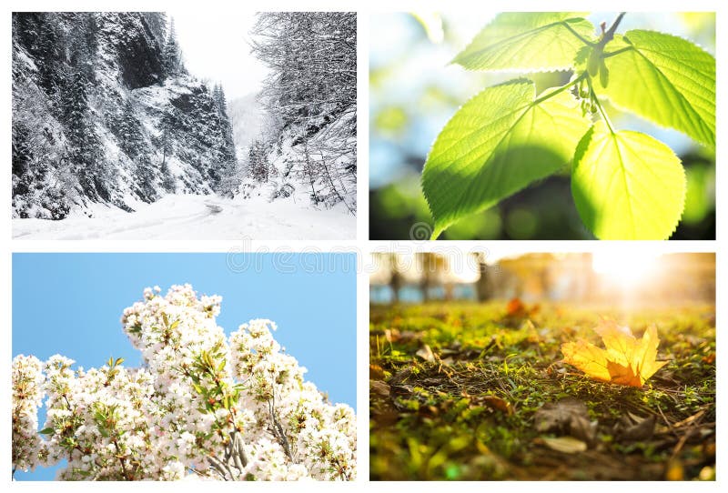 Beautiful Photos of Nature. Four Seasons Collage Stock Image - Image of ...
