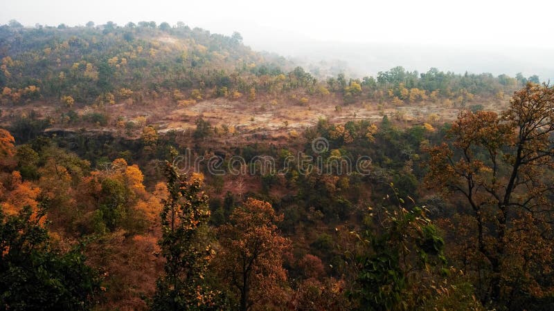 Beautiful Pic Capture in Vacation Stock Image - Image of capture ...