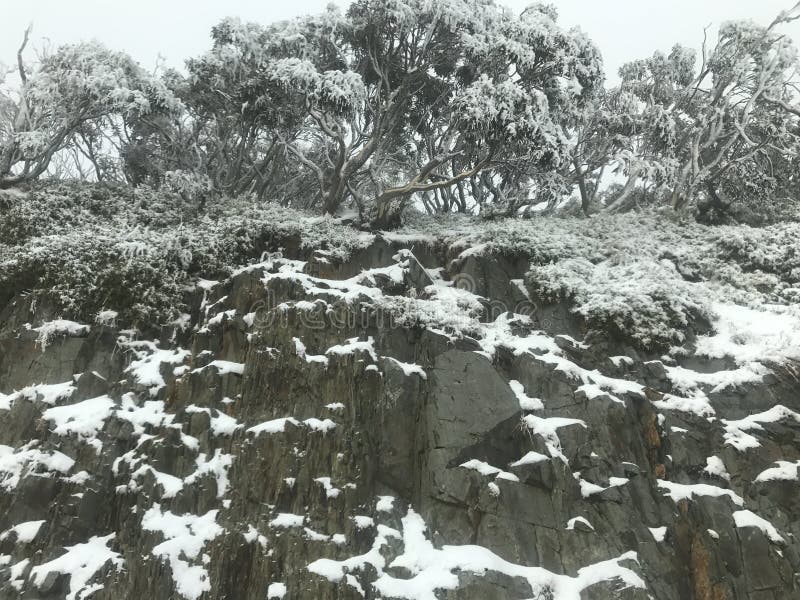 Snow cliff stock image. Image of clean, frost, light, cover - 4659073