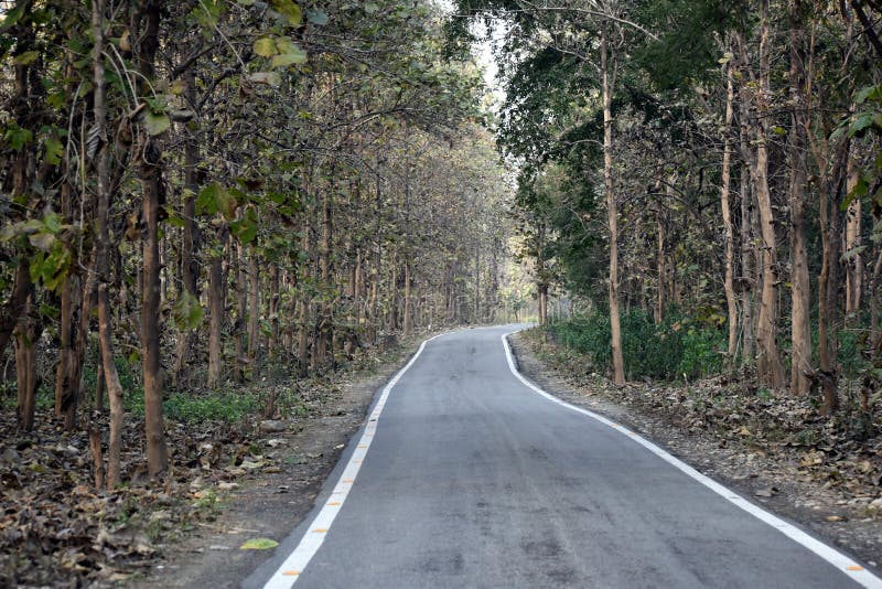 Beautiful Picture of Clean Road and Jungle Stock Photo - Image of rapid ...