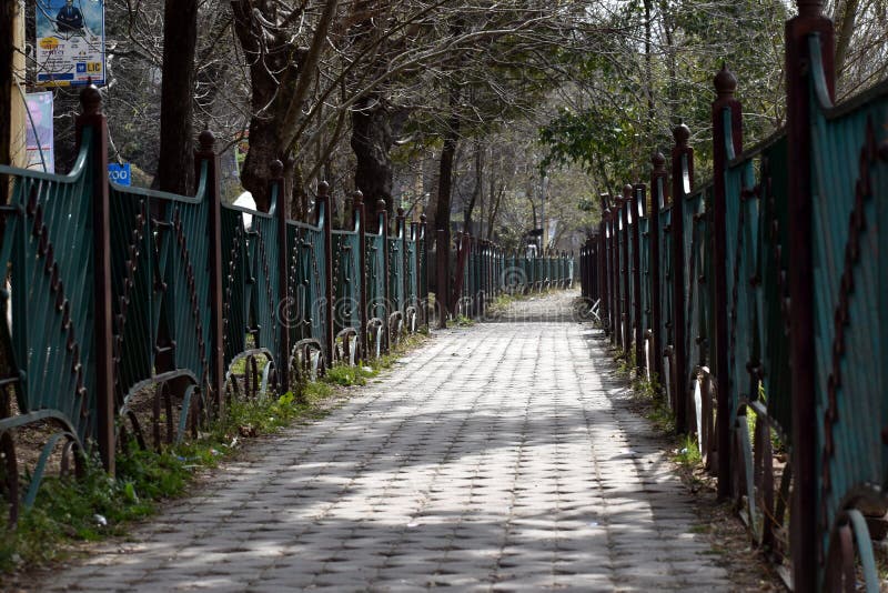 Beautiful Picture of Clean Road in Uttarakhand Nainital. India Stock ...