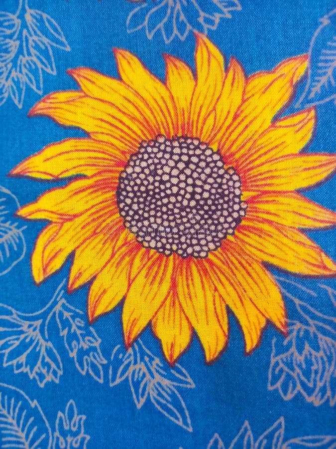 Beautiful cloth design. stock image. Image of nice, beautiful - 316012893