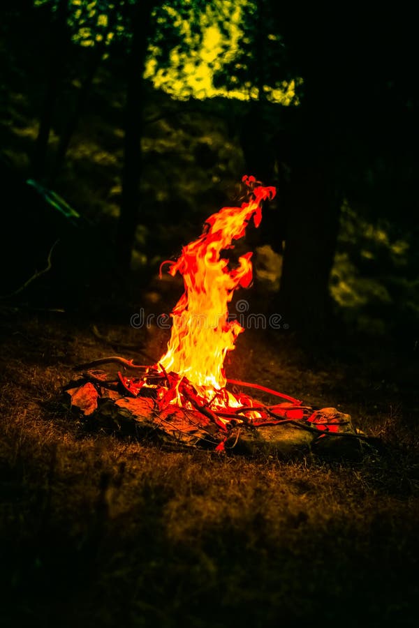 A Beautiful Picture of Fire and Natural Stock Image - Image of ...