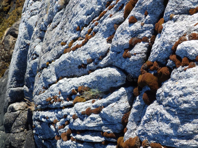 Picture with an Interesting Stone Texture Stock Photo - Image of stone ...