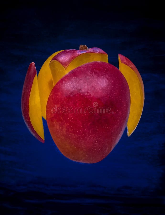 Mango in blue background stock image. Image of nice - 261690213