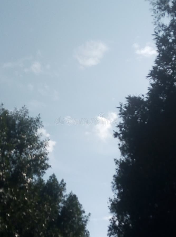 Beautiful Picture of Skyview in the Center of Trees on the Road. Stock ...