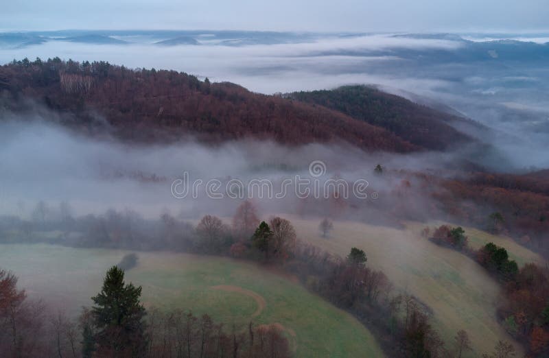 A Beautiful Picture of Trees in the Mist Stock Image - Image of ...