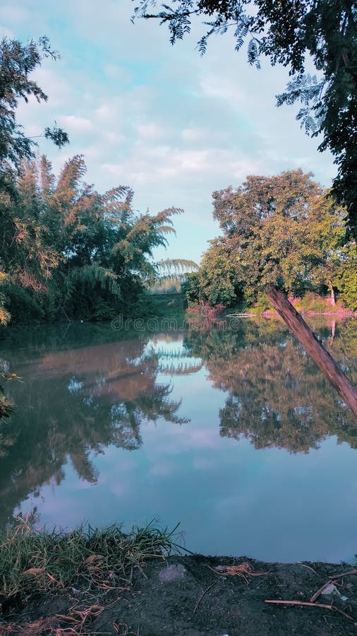 Beautiful Pictures this World and Tree Sky Stock Image - Image of world ...