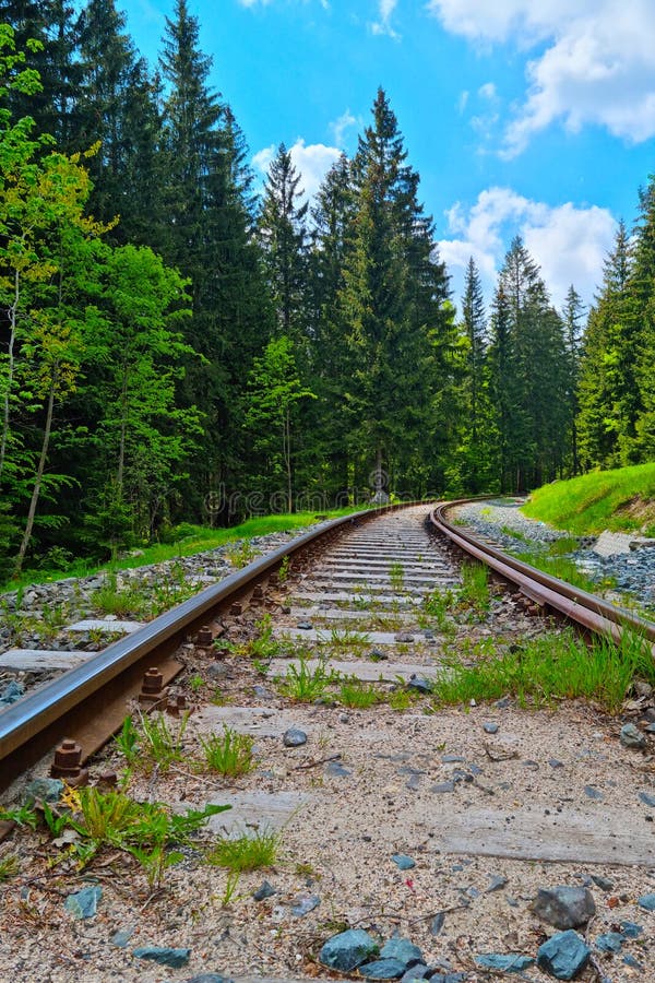 Beautiful Picturesque Railway in the Mountains between Green Trees ...