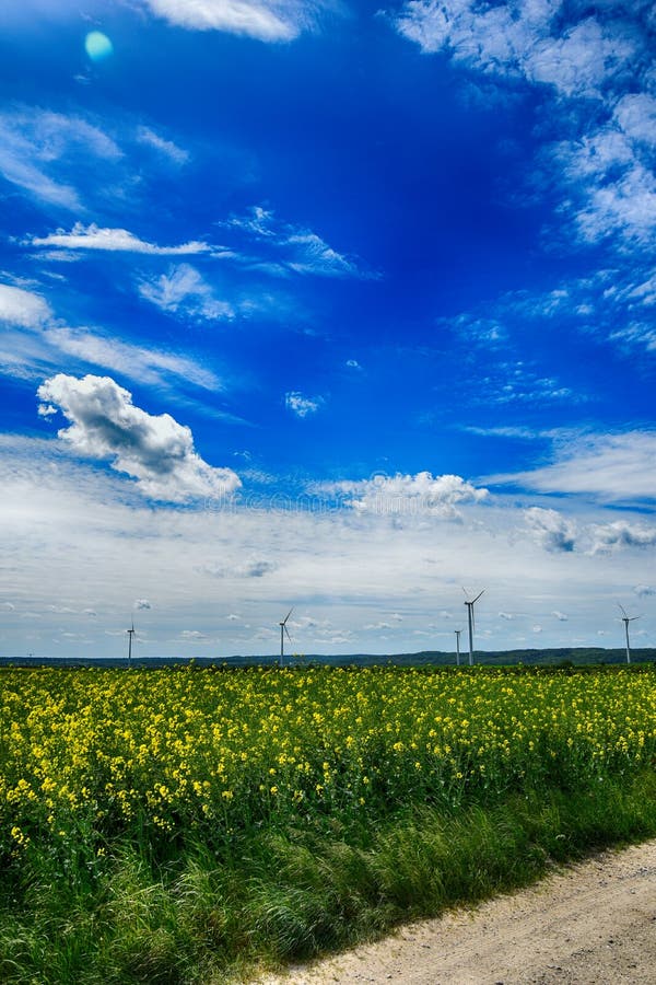 Picturesque Spring Landscape with Blue Sky and Green Fields Stock Photo ...