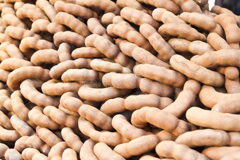 Beautiful Pile of Sweet Tamarind Stock Image - Image of group, exotic ...