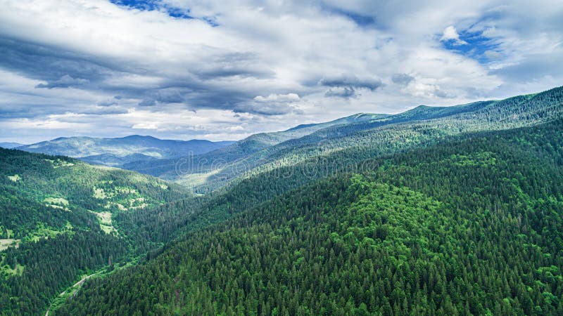 Beautiful Pine Trees on Background High Mountains. Stock Image - Image ...