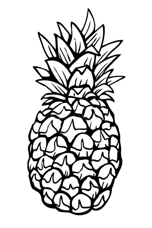 Uncolored Summer Stock Illustrations – 400 Uncolored Summer Stock ...