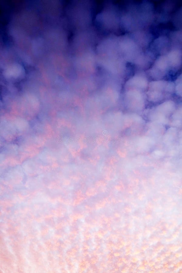 Beautiful Pink and Blue Sunset with White Mammatus Bubble Clouds Stock ...