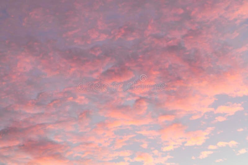 Beautiful Pink Clouds in a Blue Sky Stock Photo - Image of high, light ...