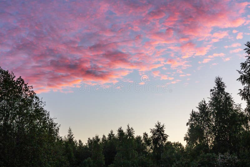 Beautiful Pink Clouds in a Blue Sky Stock Photo - Image of condensation ...