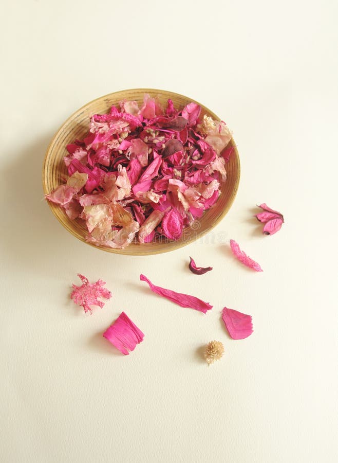 Beautiful Pink Dry Flowers Picture. Image: 4694518