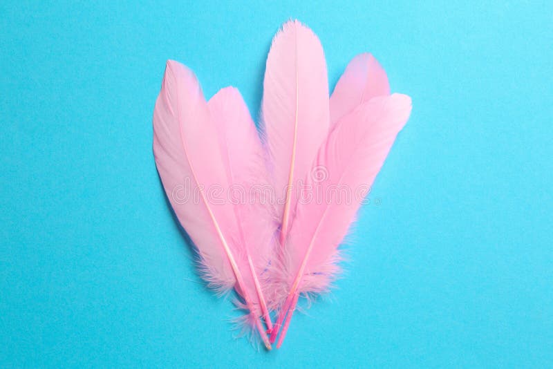 Beautiful Pink Feathers on Light Blue Background, Top View Stock Image ...