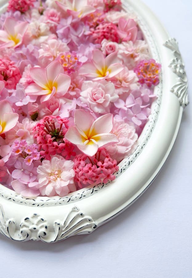 Beautiful of Pink Flowers in Vintage Frames Stock Photo - Image of ...