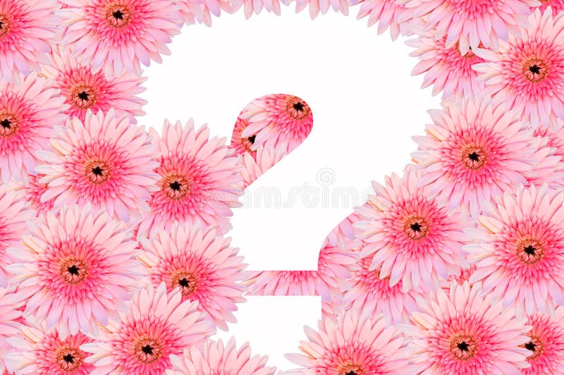 Pink gerberas border frame stock image. Image of details - 112210127