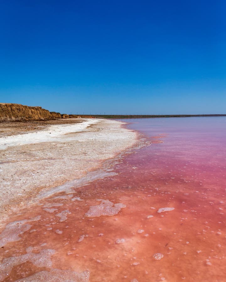 Beautiful Pink Lakes with Salt Water for Treatment Stock Photo - Image ...