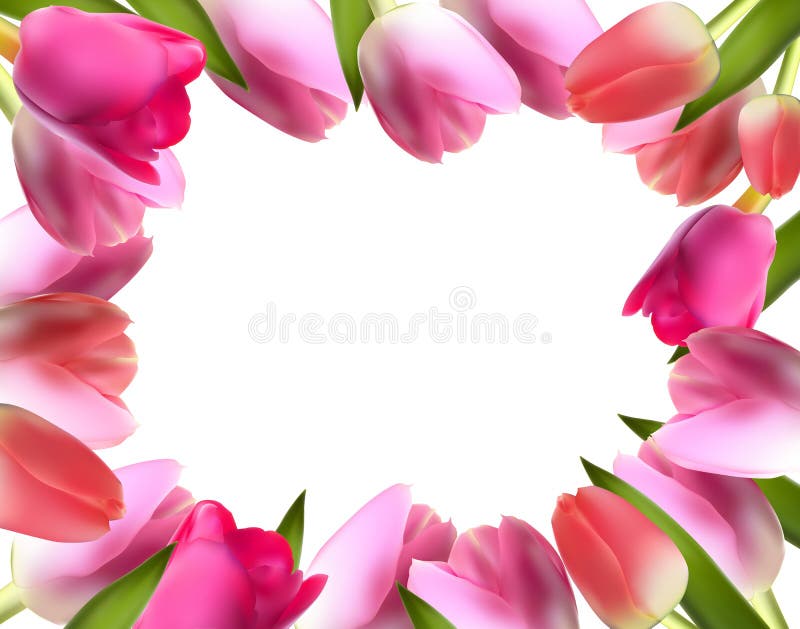 Beautiful Pink Realistic Tulip Frame Vector Stock Vector - Illustration ...